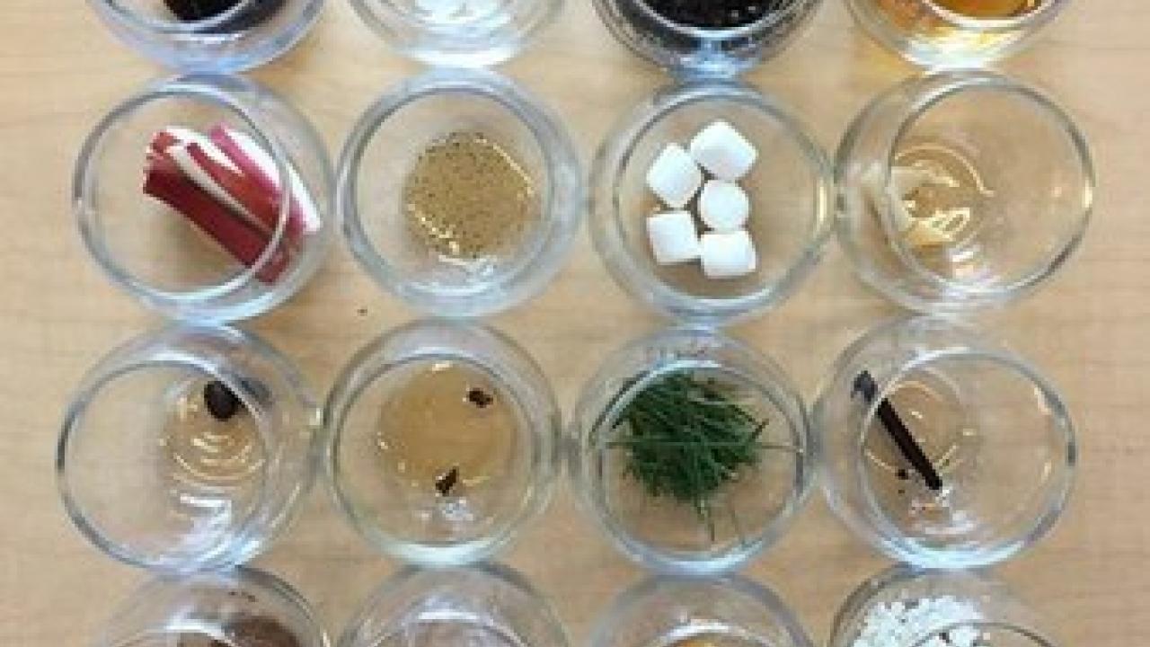 UC Davis is the Place to Bee to Learn About and Experience Honey! | UC ...